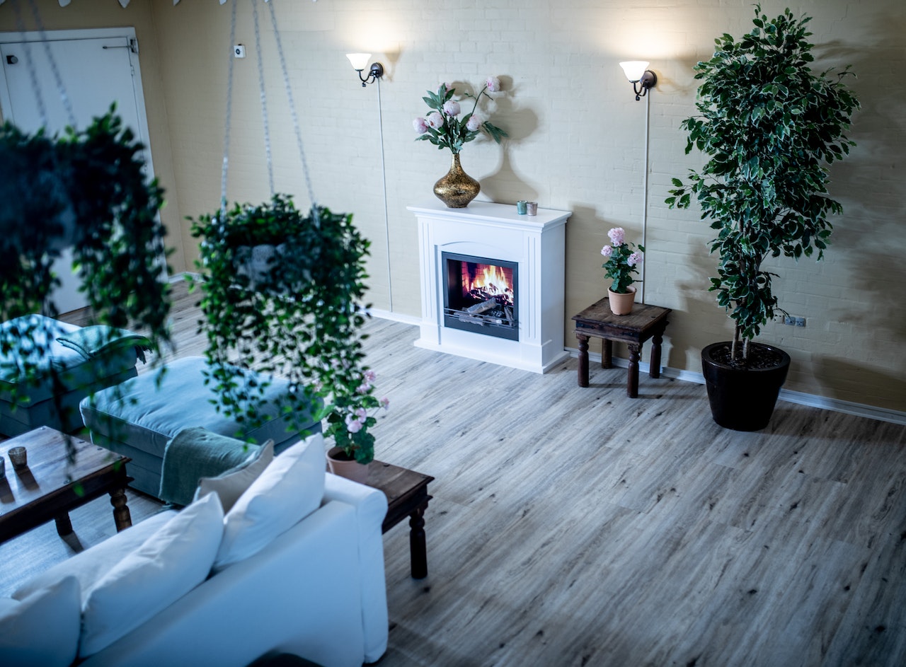 Biophilic Interior Design: Bringing Nature Into Your Home - Cozy Chris