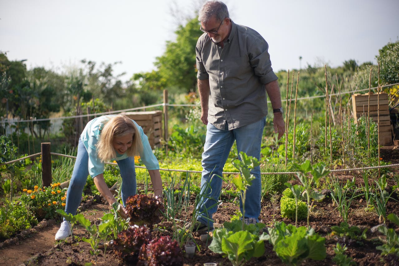105 Hobbies for Retired Men: Finding Your Passion in the Golden Years ...