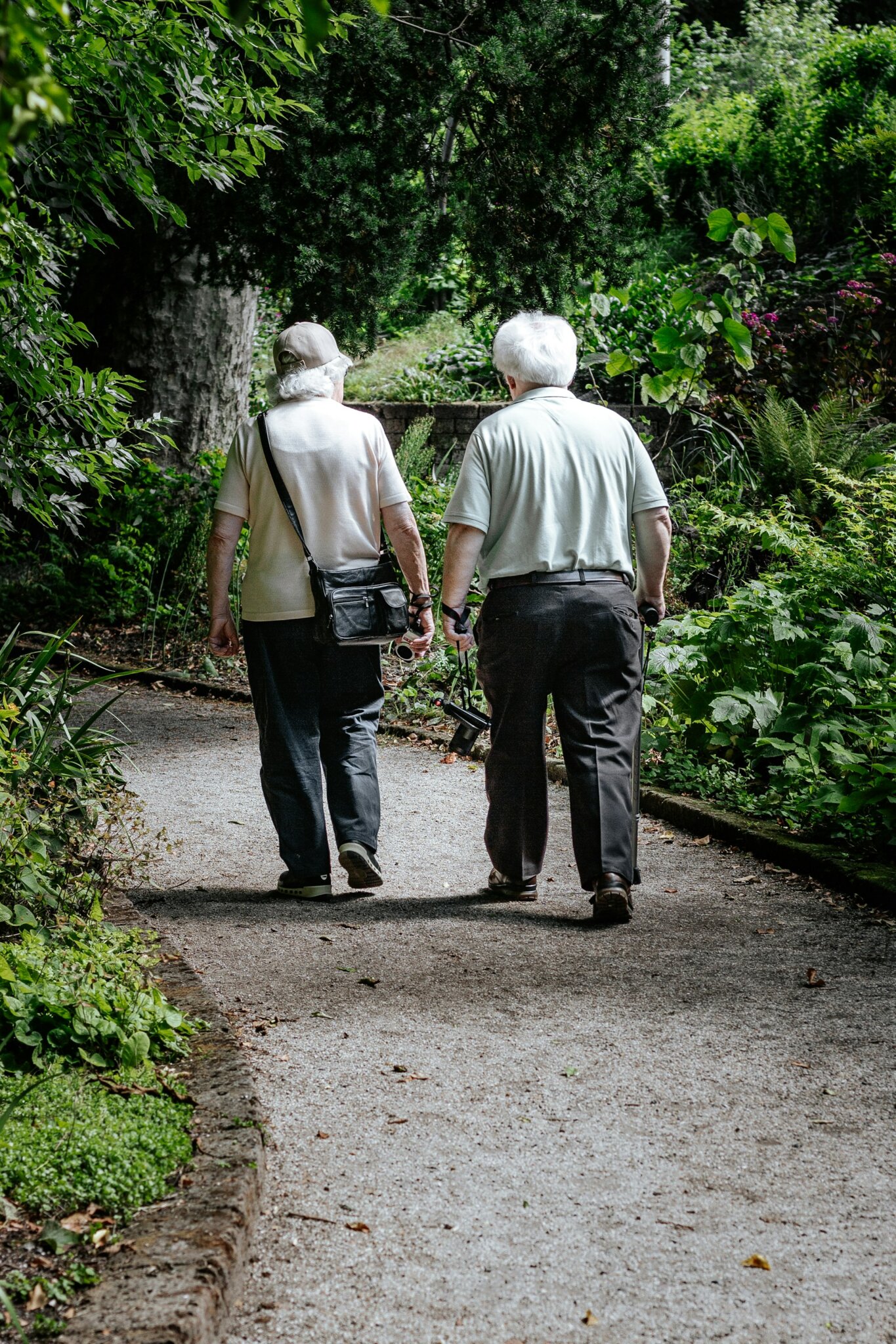 Energize Your Golden Years: 34 Senior Fitness Quotes for Inspiration ...